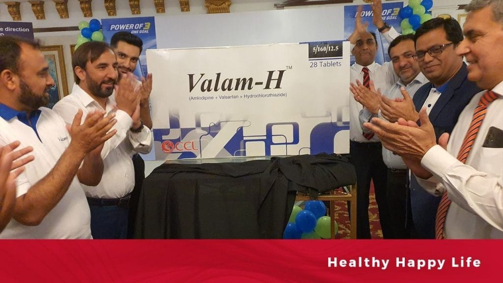 Launch of VALAM-H - CCL